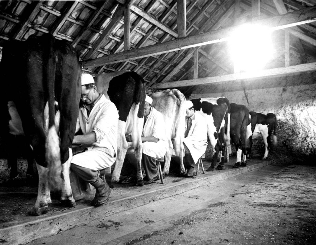 HISTORY – Sydling St. Nicholas Village Website